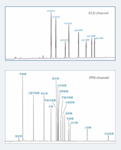 GC 2000 - EXPEC TECHNOLOGY