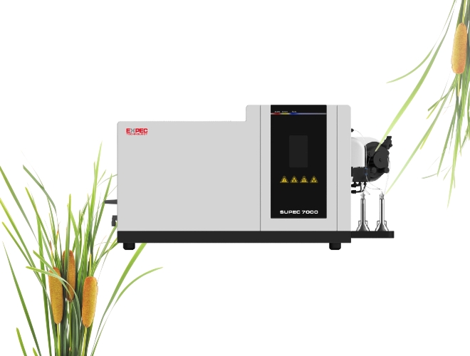 LC-ICP-MS | Determination of six arsenic forms in Acorus chinensis by ...